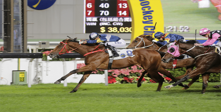 Pakistan Star on track for 2017 Classic Series | Horse Betting