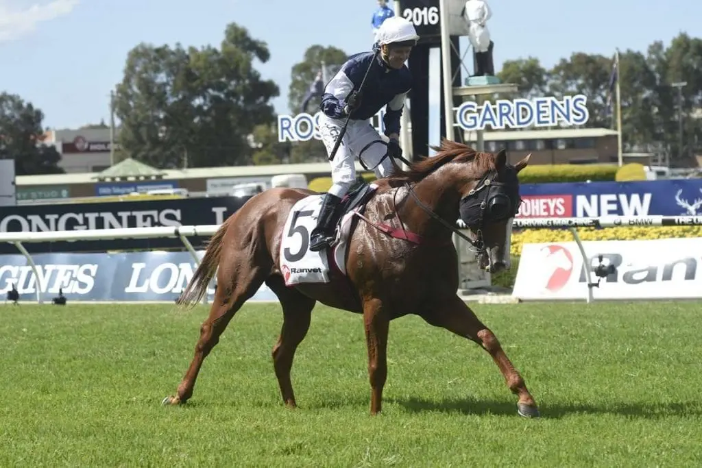 The United States going for second Ranvet | Horse Betting