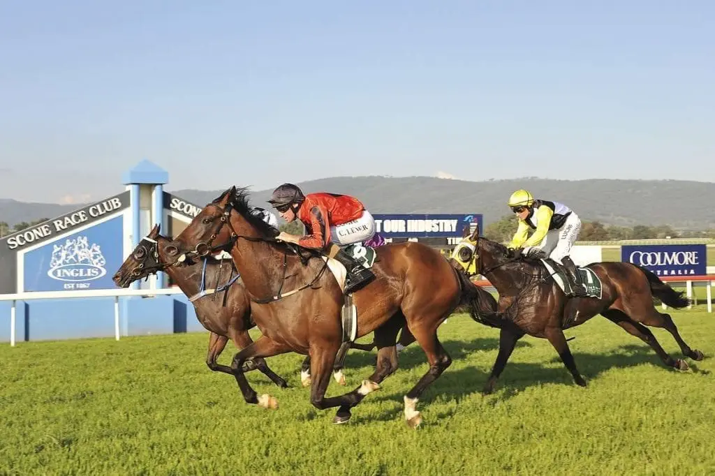 Griffith says Schedule "going really well" ahead of Highway Hcp | Horse ...