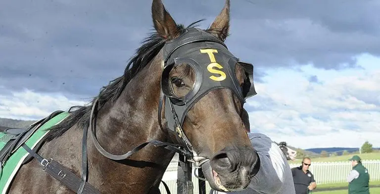 Smart win needed to keep It's Academic's Guineas dream alive | Horse ...