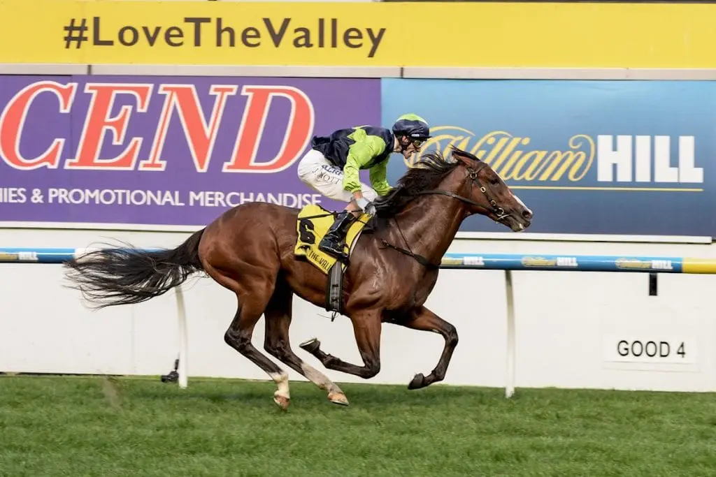 Mott Dreaming of feature wins with colt | Horse Betting