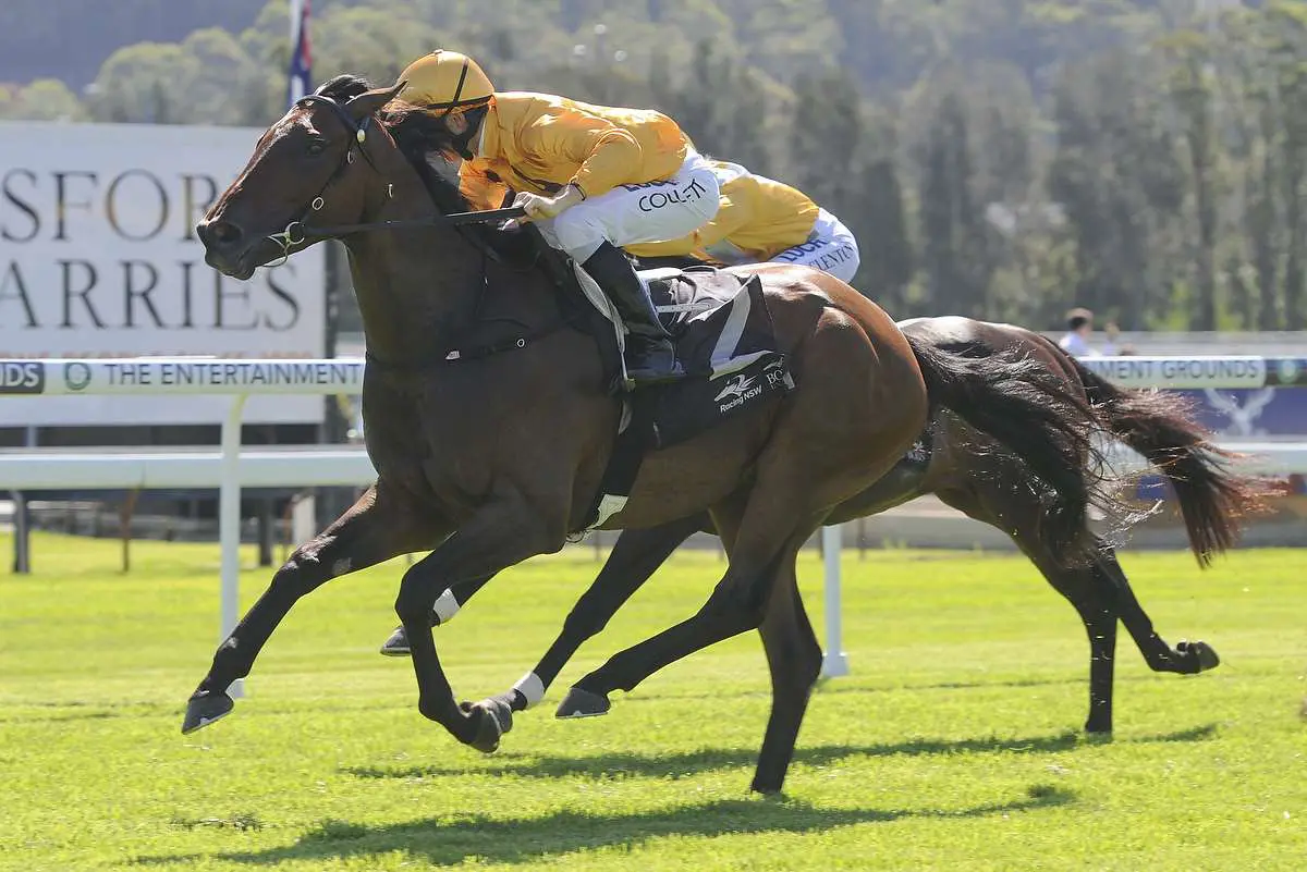 First winner for trainer Clare Cunningham | Horse Betting