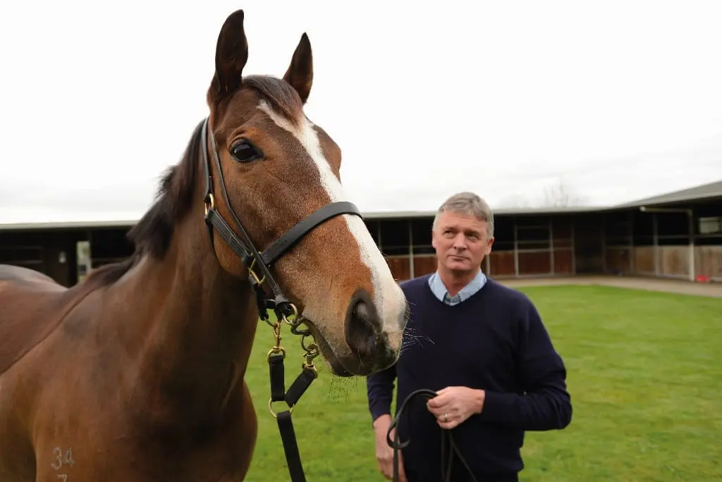 NZ filly has a date at the Sunshine Coast | Horse Betting