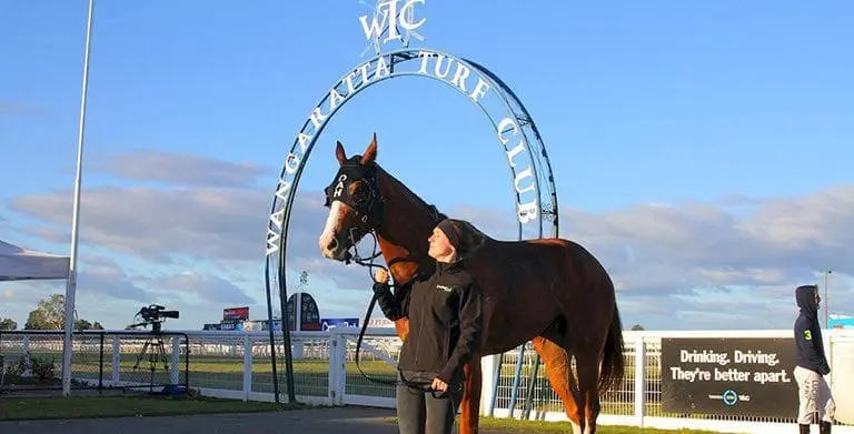 Wangaratta's shock Country Champs omission down to bad timing | Horse ...