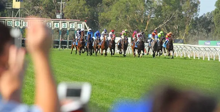 David O'Prey commends the quality of country racing at Wangaratta ...