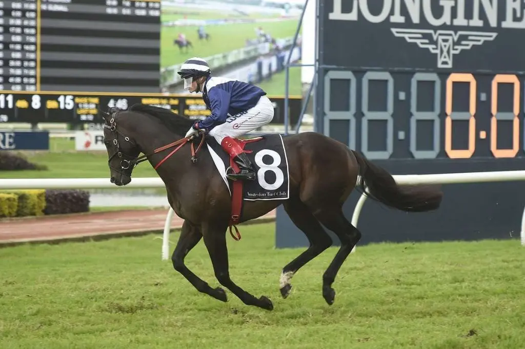 Supido favourite for G3 Monash Stakes | Horse Betting