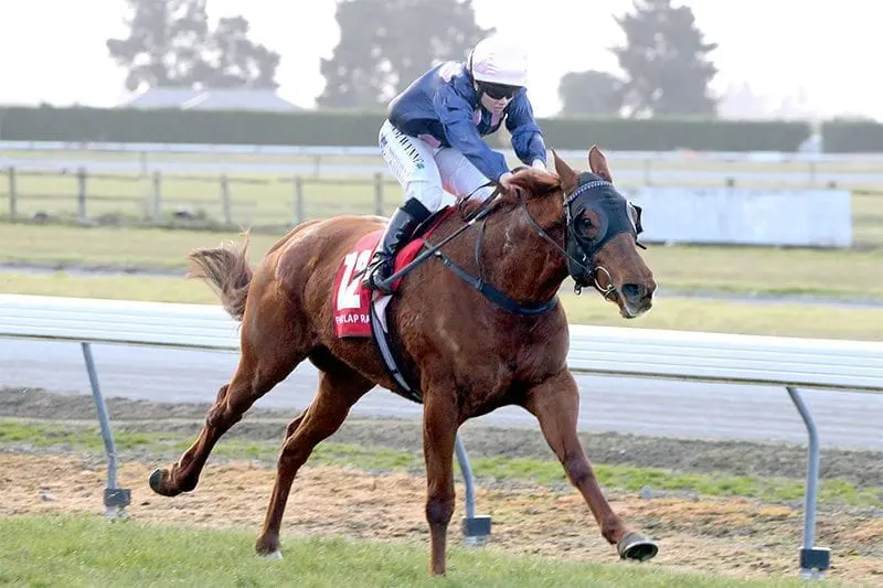 Stumblin In set to make waves for Waverly stable | Horse Betting