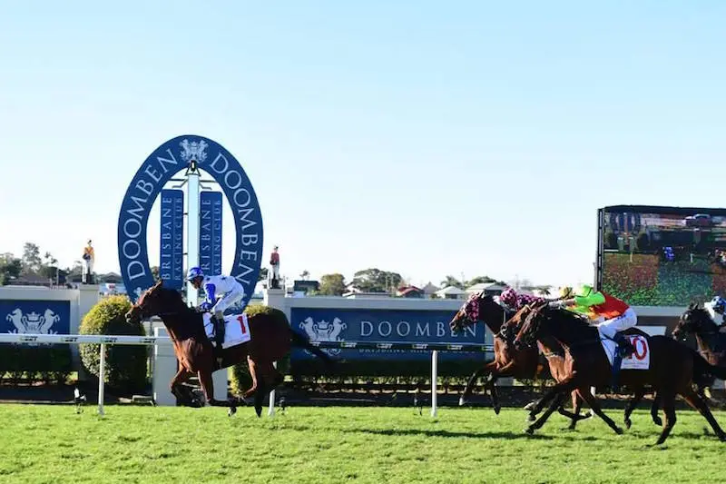 Havasay makes it four straight wins | Horse Betting