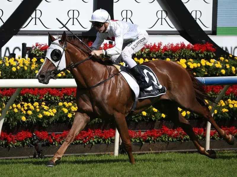 Innes gets opportunity on Diddums | Horse Betting