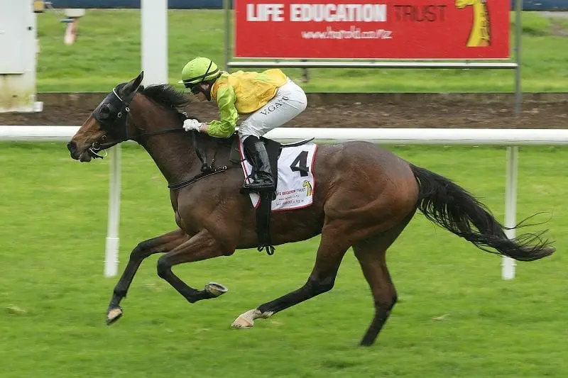 Specialist treatment does the trick for Pacorus | Horse Betting