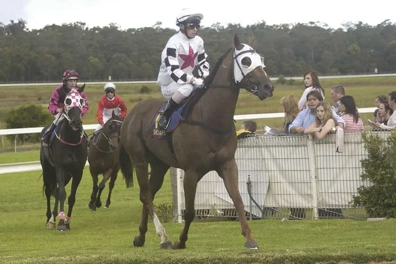 Ryan Wiggins in timely Gold Coast success | Horse Betting