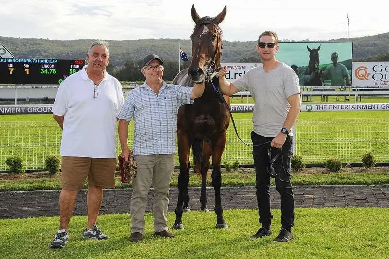 Englebrecht hopes to drive Highway north | Horse Betting