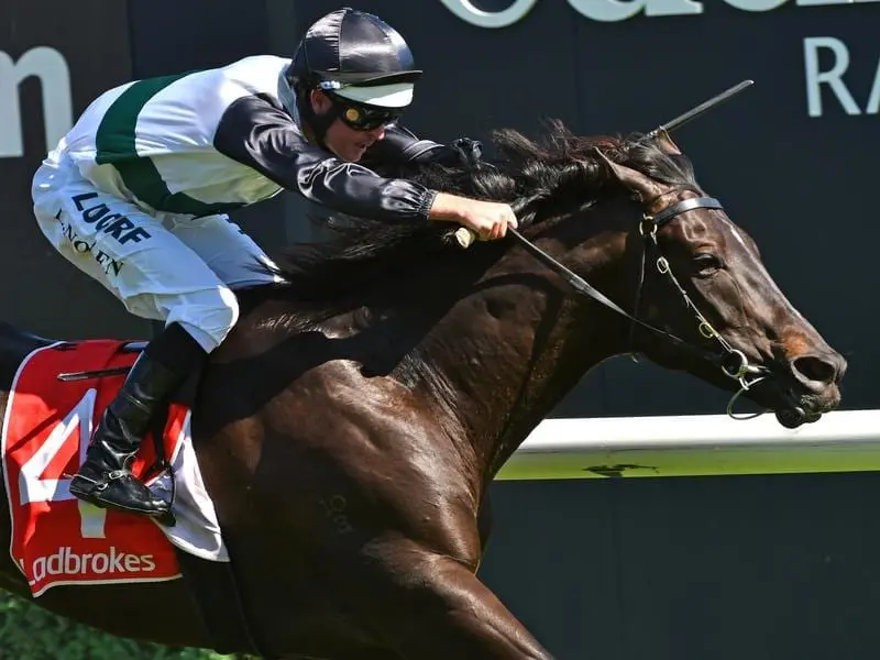 So Si Bon chasing back-to-back wins | Horse Betting