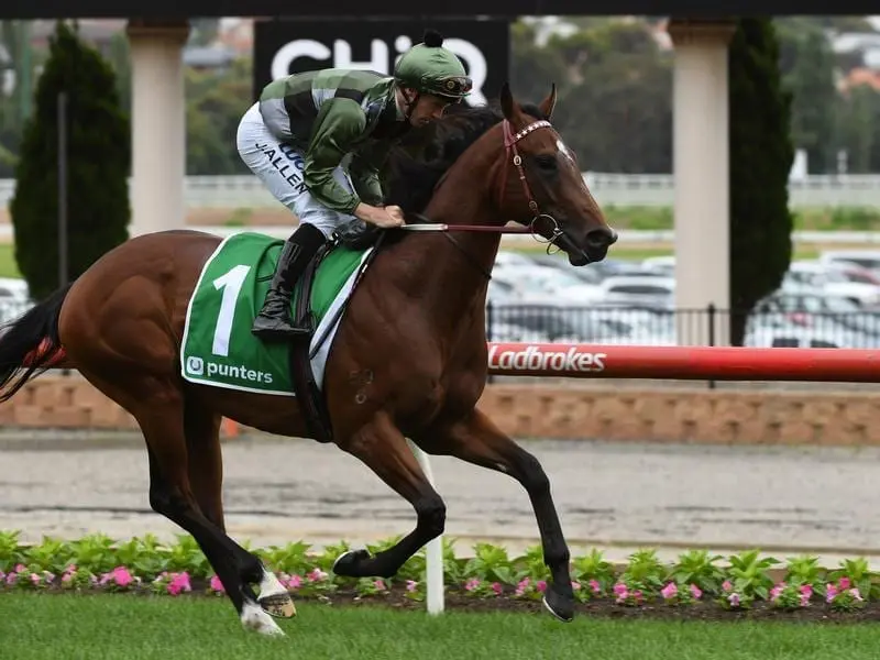 Classic hope Yes Yes Yes found to be sore | Horse Betting