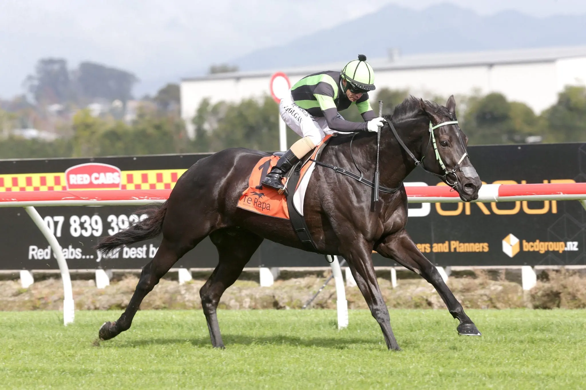 Sydney stakes test for Our Big Mike