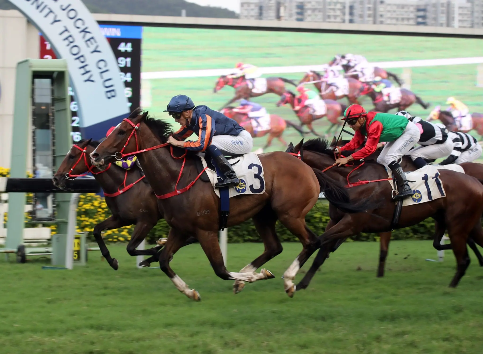 Red Warrior upends Champion’s Way