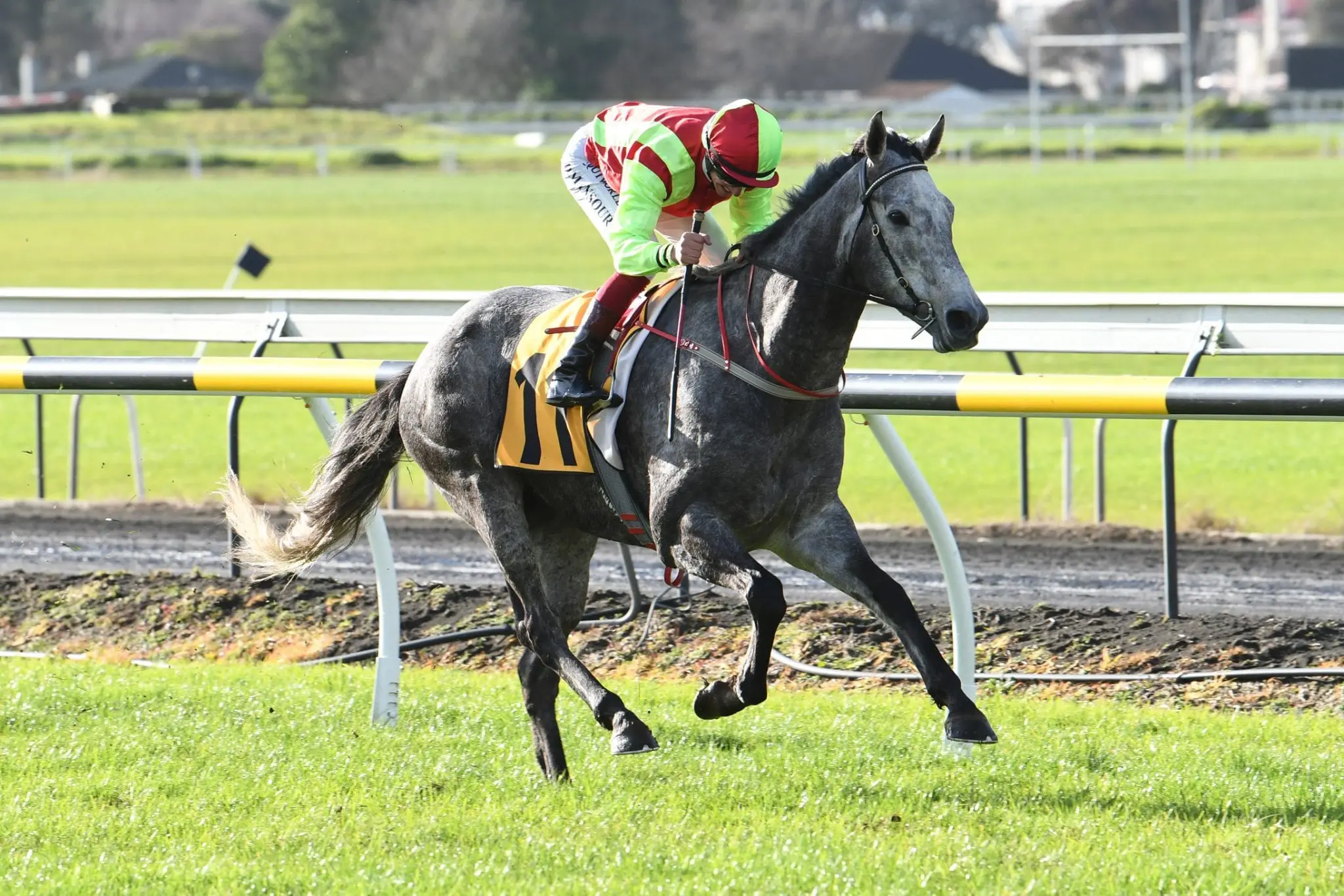 Helena Baby from well-known Windsor family