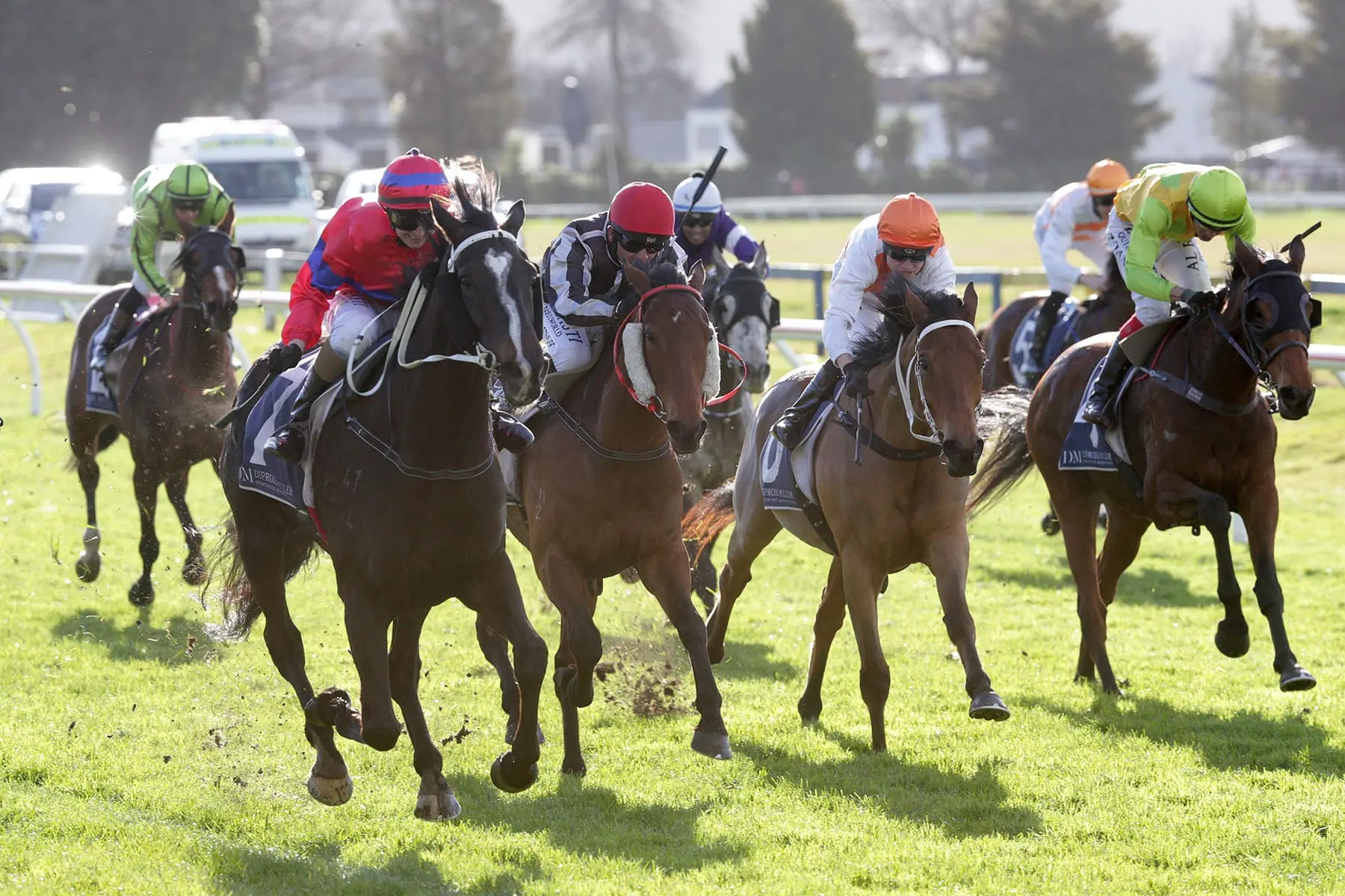 Verry Flash takes out Rotorua feature