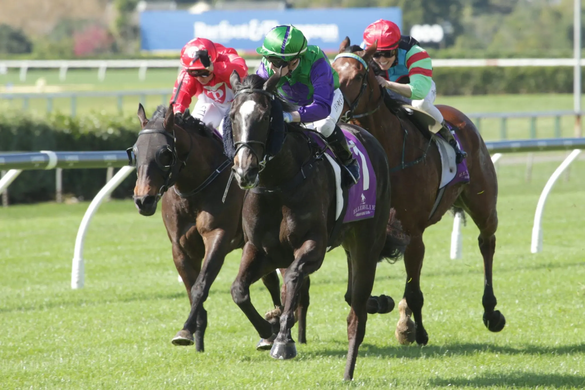 Back In A Flash all class at Ellerslie