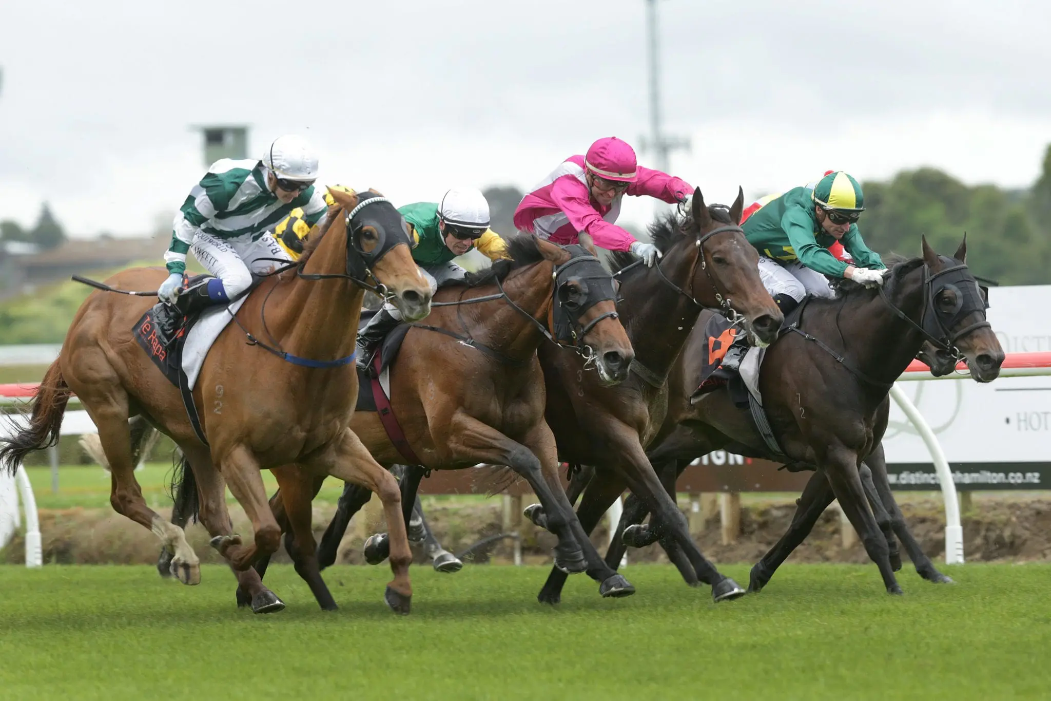 Hay Tiger upsets at Te Rapa