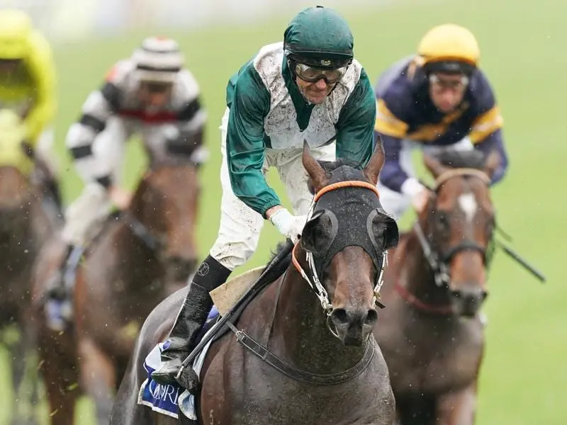 Exceedance scores in Coolmore Stud Stakes | Horse Betting