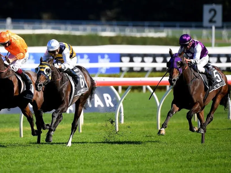 Kendrick hopes for reversal on Qld Derby | Horse Betting