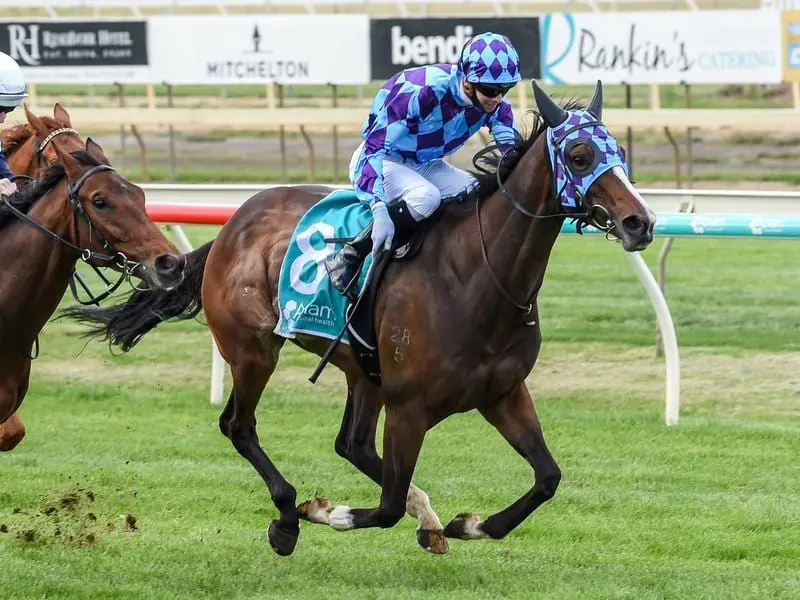 Princess Jenni's Late Dash For Perth Cup | Horse Betting