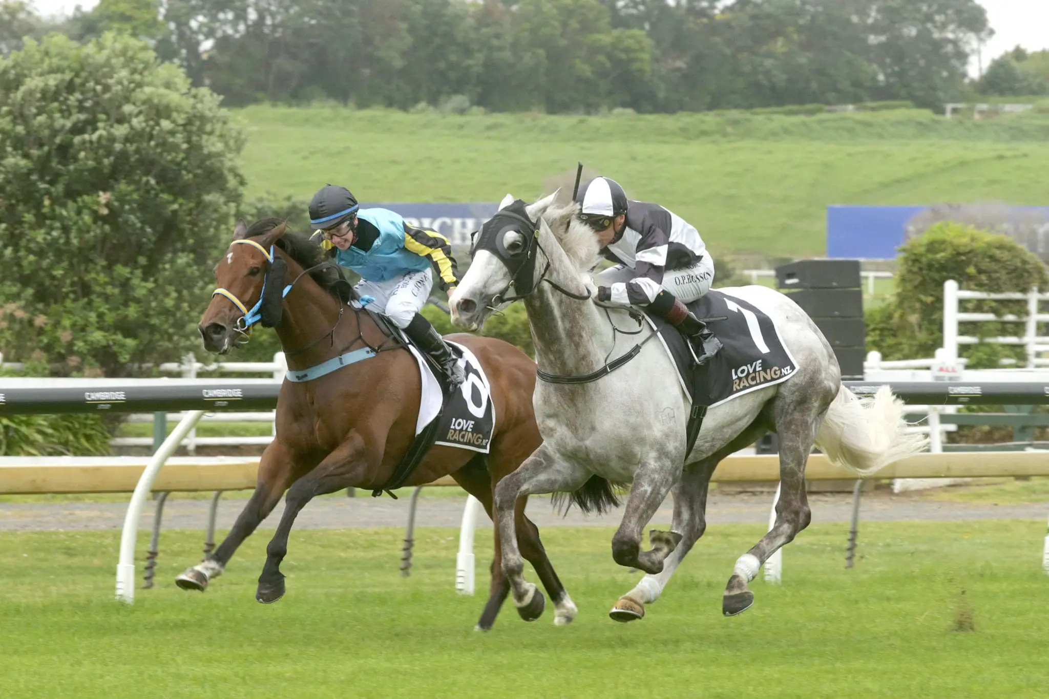 Gone West going places