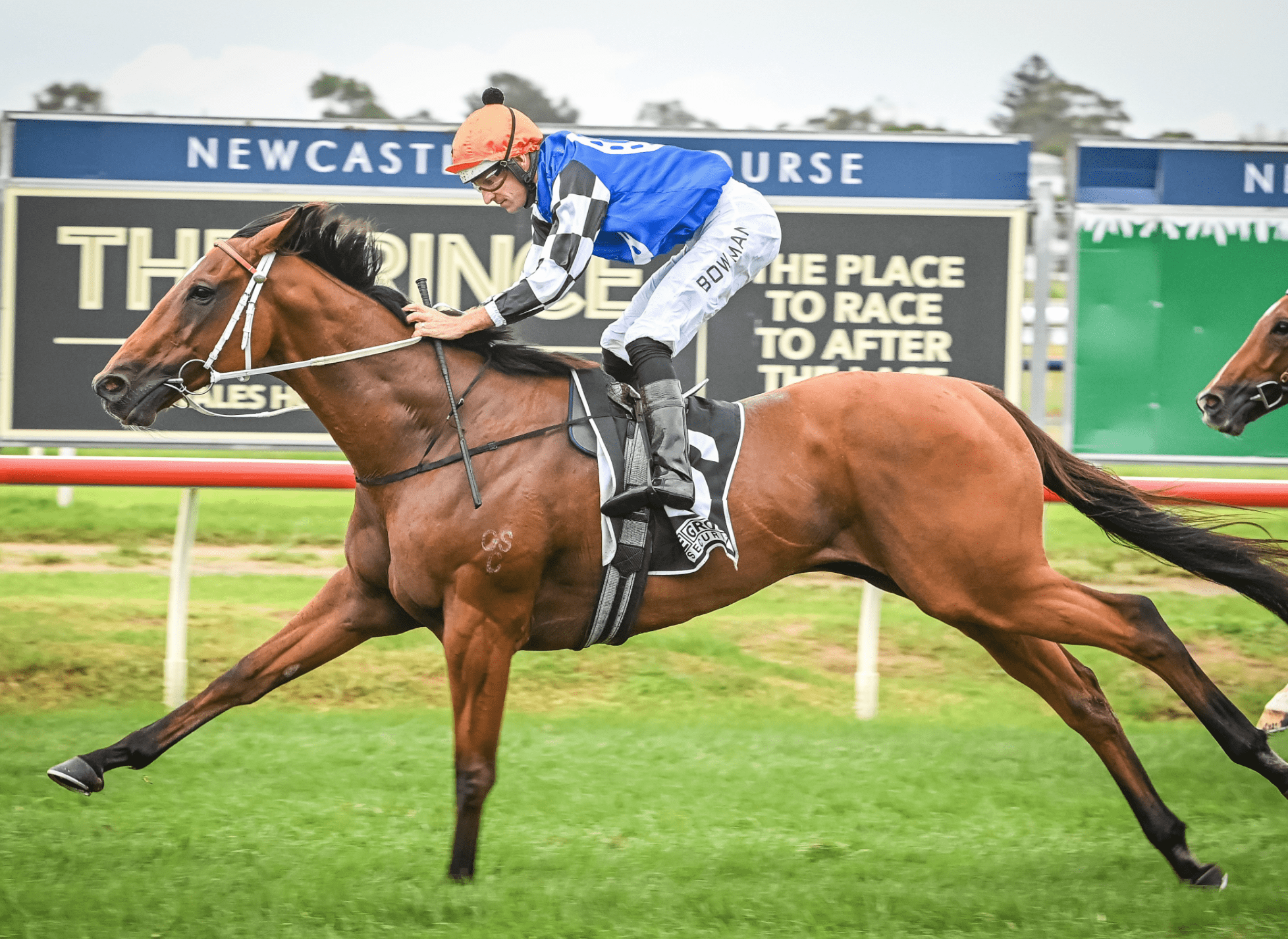 Gem Song Proves Too Classy in Star Kingdom Stakes at Newcastle