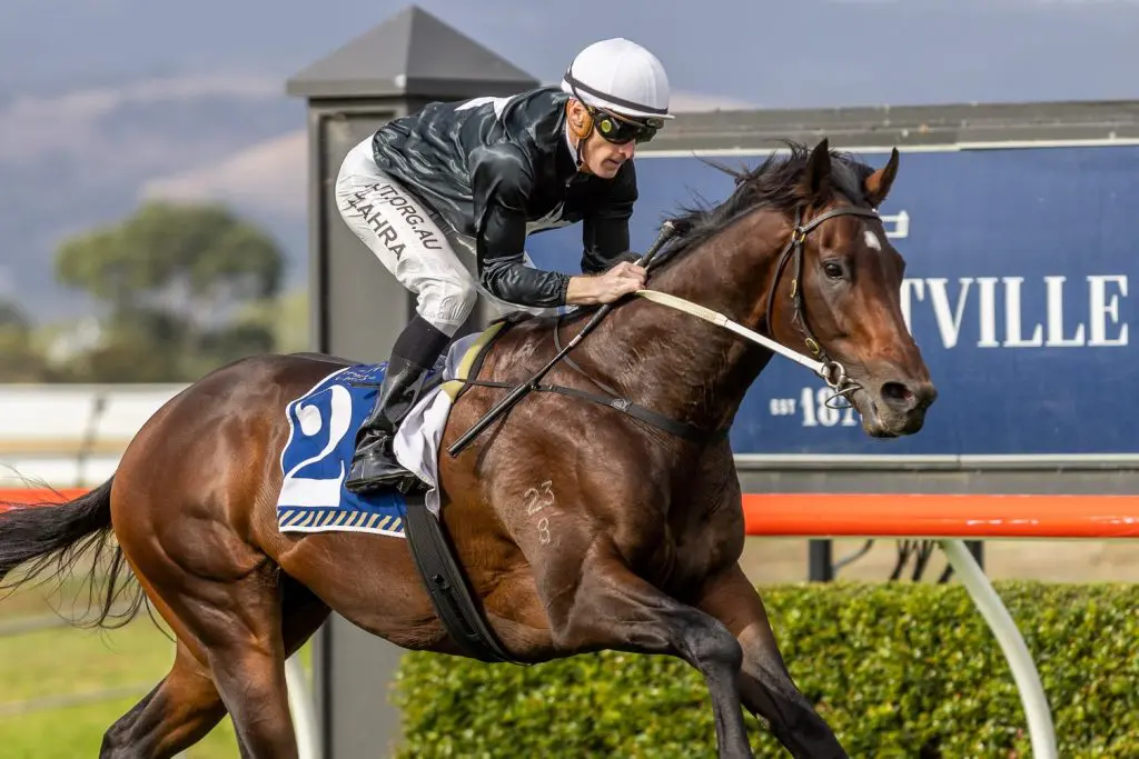 Golden Eagle For Illation, I'm Thunderstruck To Cox Plate