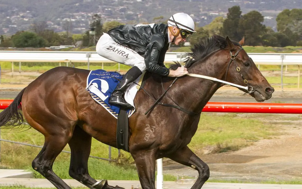 Kent Says Illation Ready To Go In Cracking Memsie Stakes Field