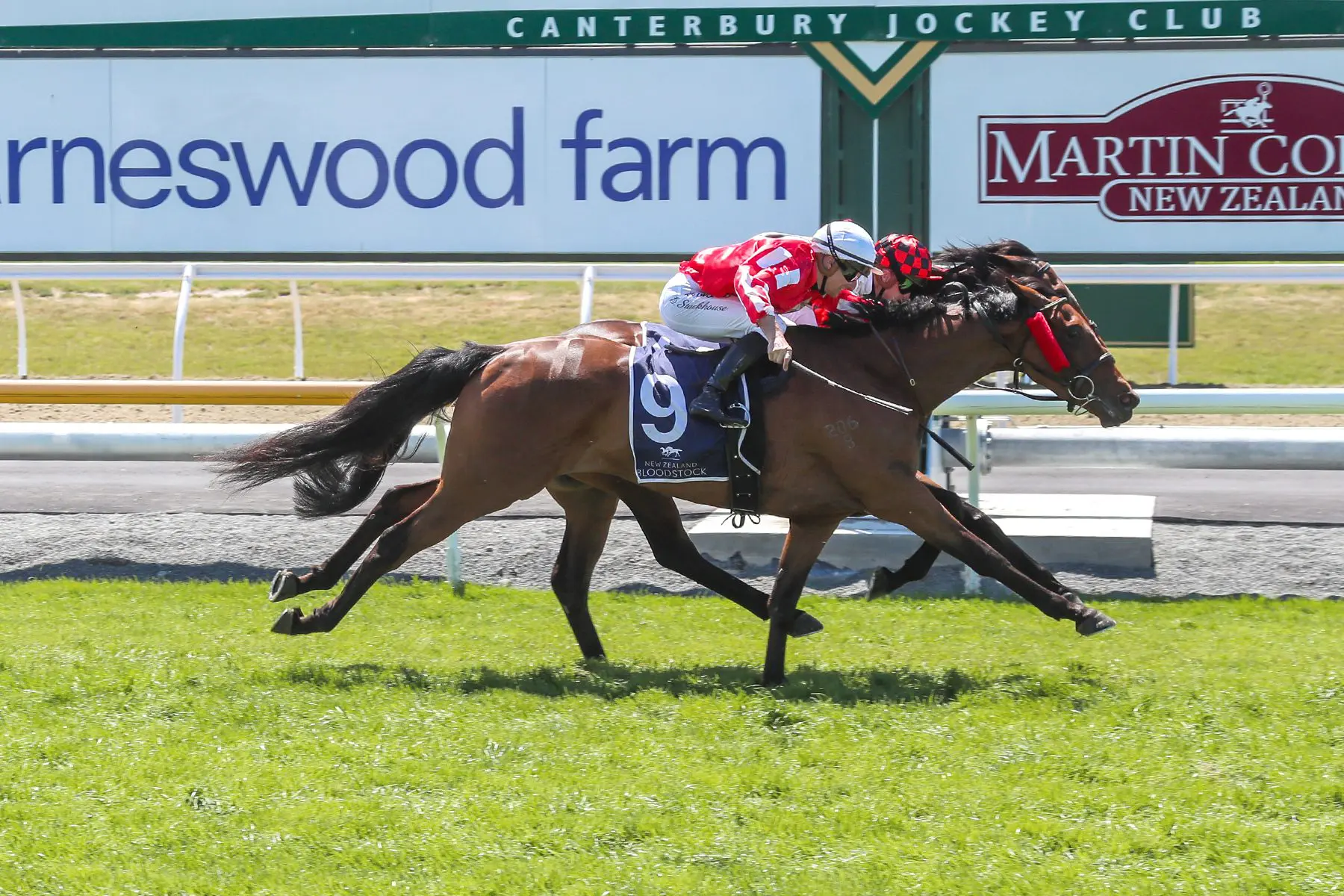 Daniel Stackhouse Lifts Star Ballot To Victory At Riccarton