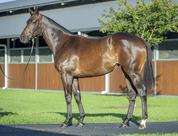 Autumn Ballet Expected To Fire In Group 3 Black Opal Stakes