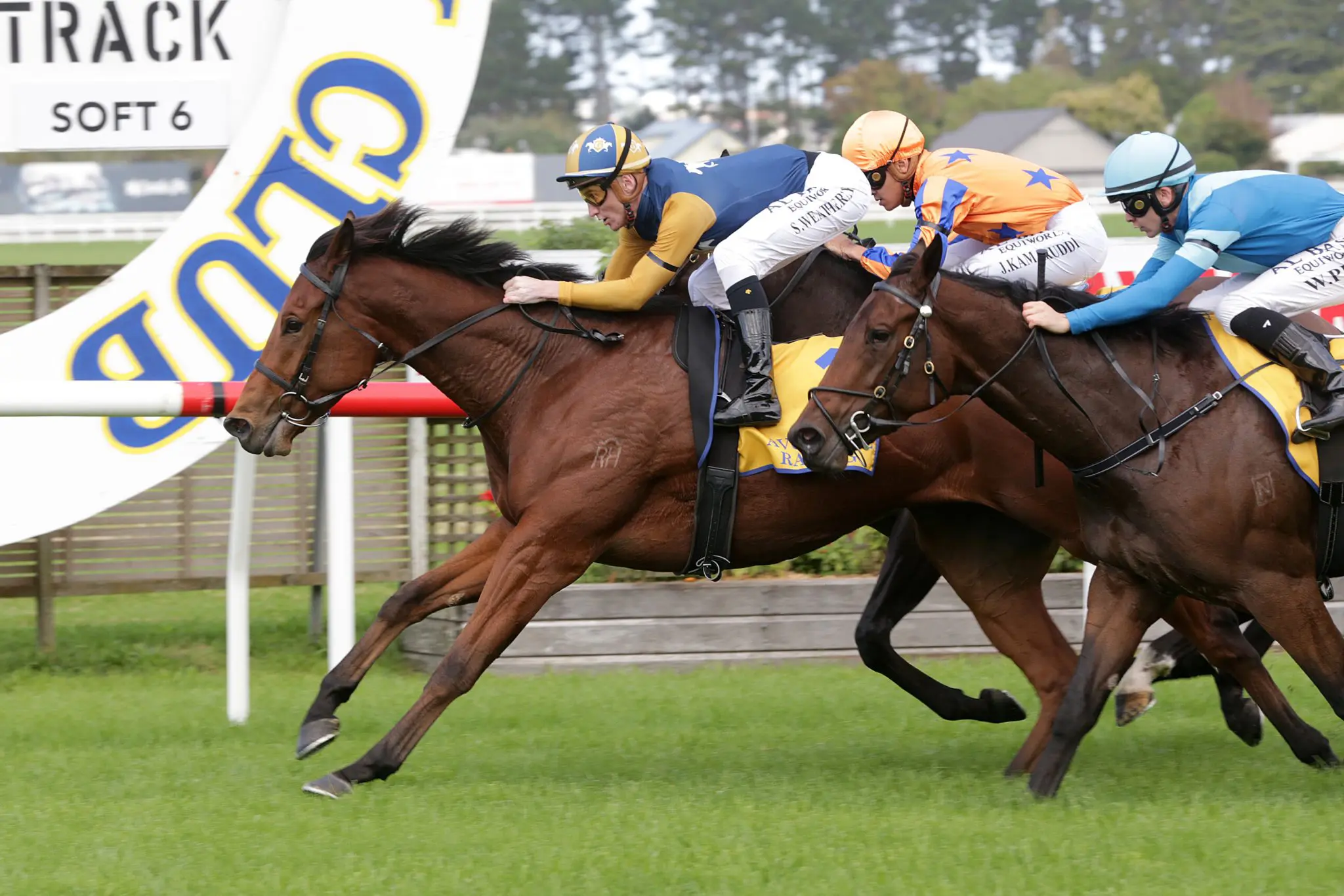 Queensland Sojourn Planned For Avondale Winner The Racketeer