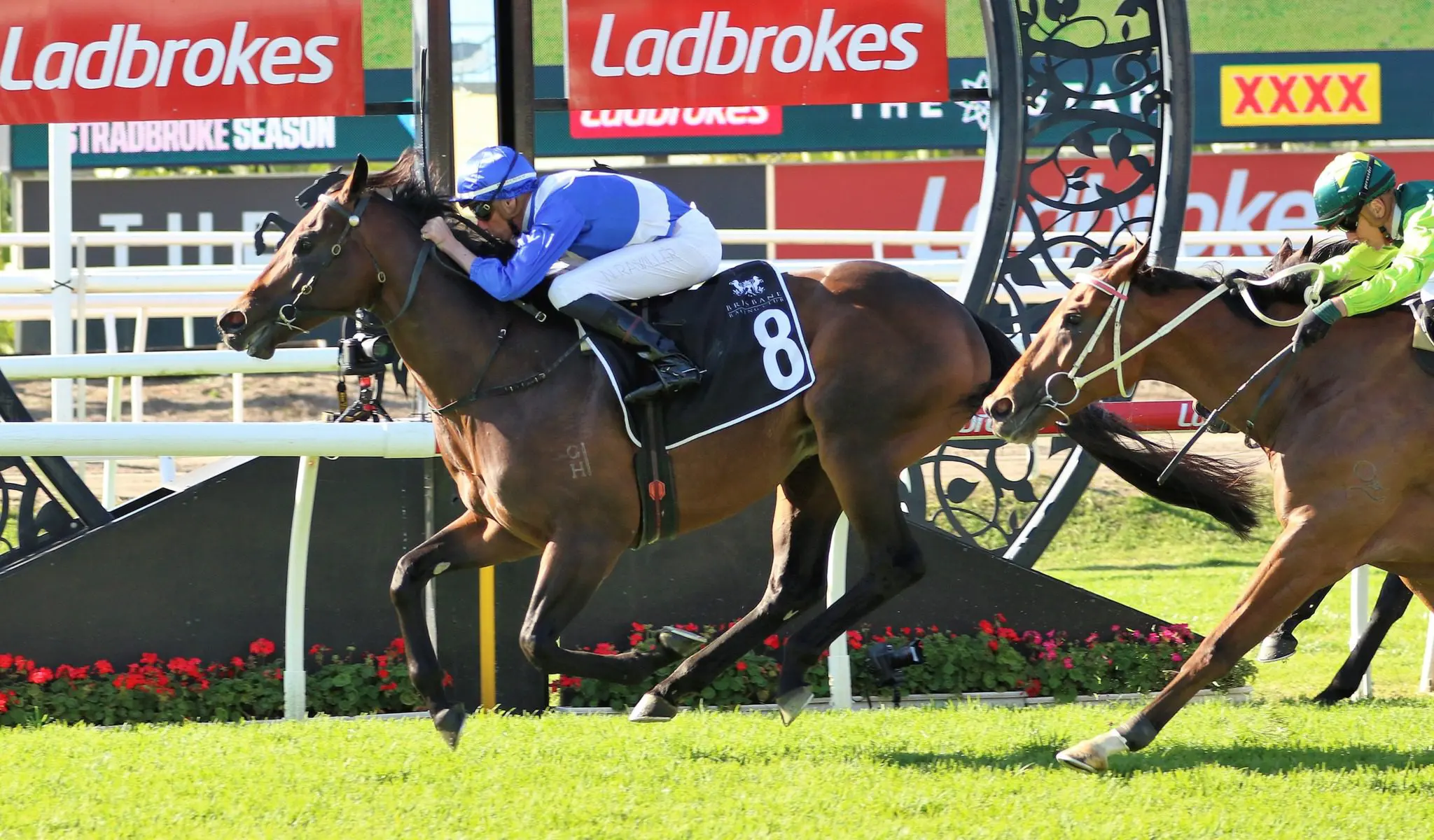 Hawaii Five Oh Keeps Stradbroke Dream Alive With Fred Best Win