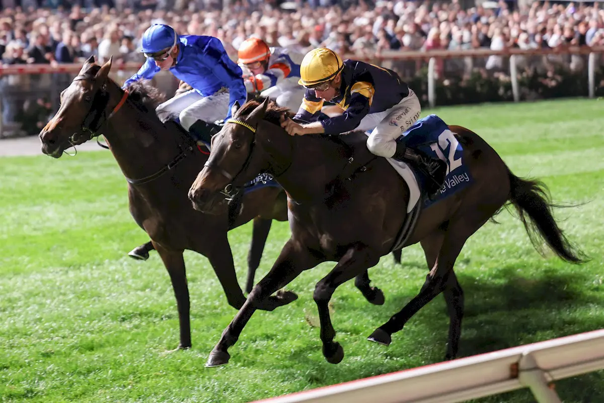 Coeur Volante Claims Tough Scarborough Stakes Victory