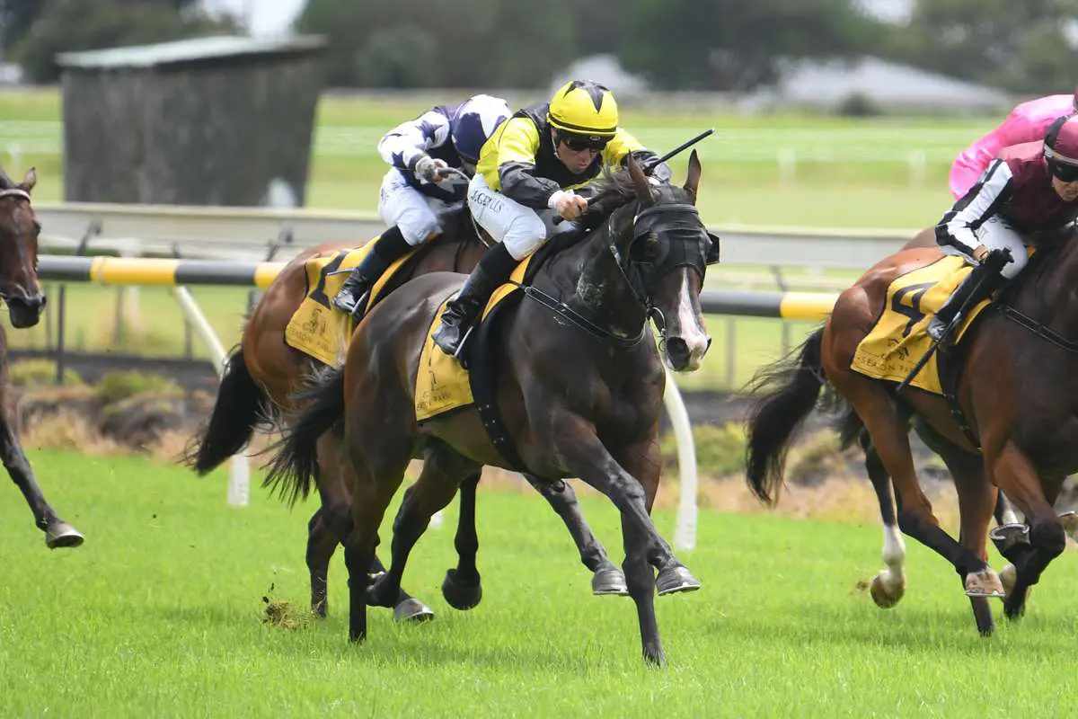 One Bold Cat To Line Up In Group 3 Thompson Handicap