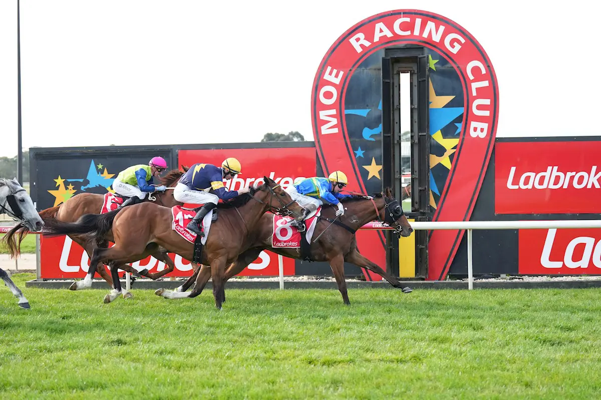 Moe Racing Club To Receive A New Facelift In New Year