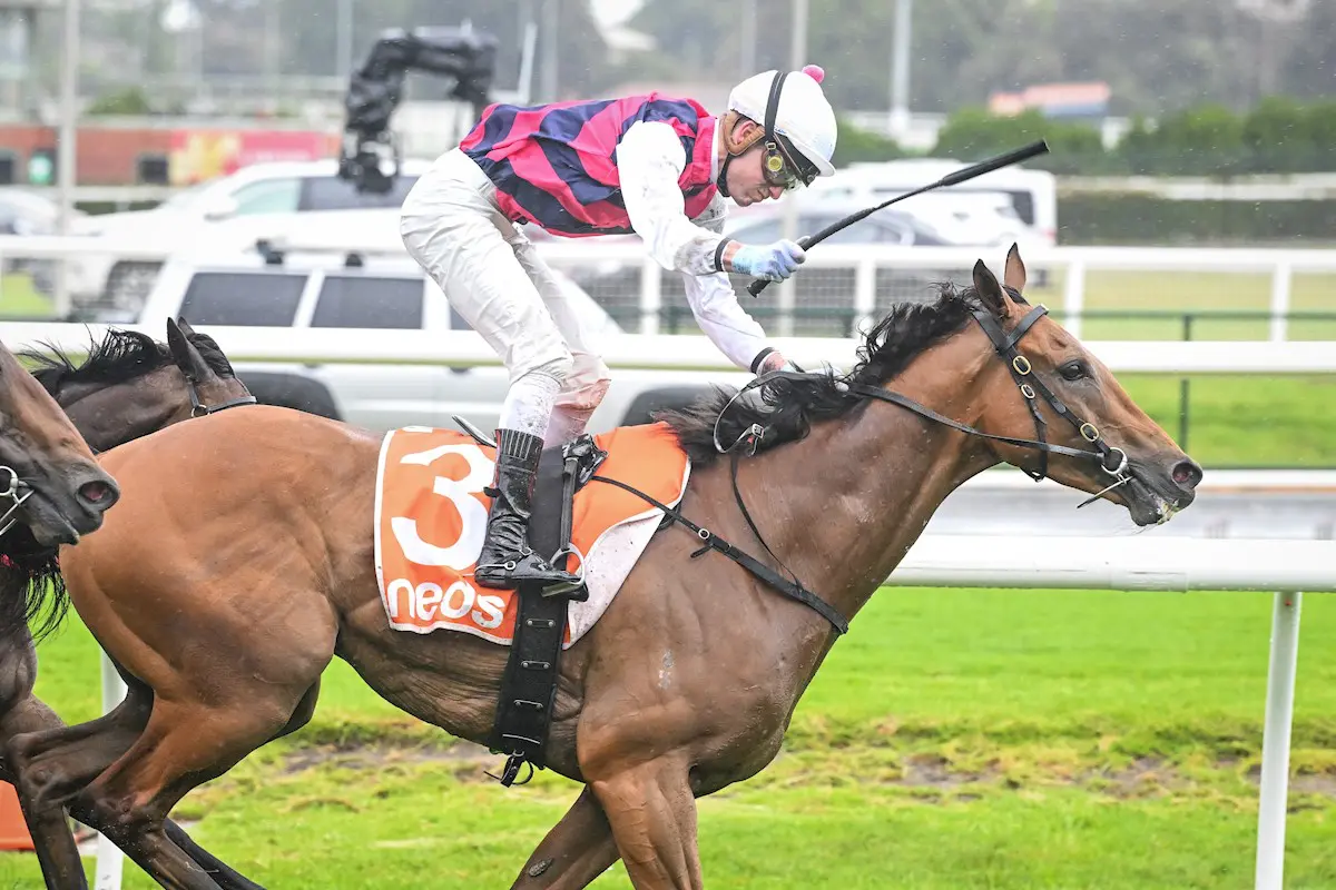 King Magnus Claims Group 3 Kevin Heffernan Stakes In Style