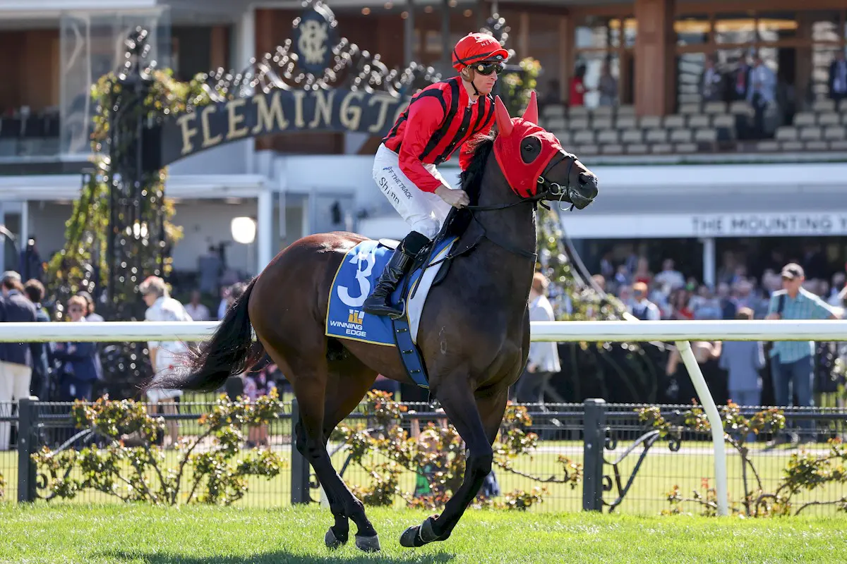 Jamie Kah Booked To Ride Oakleigh Plate Favourite King's Gambit