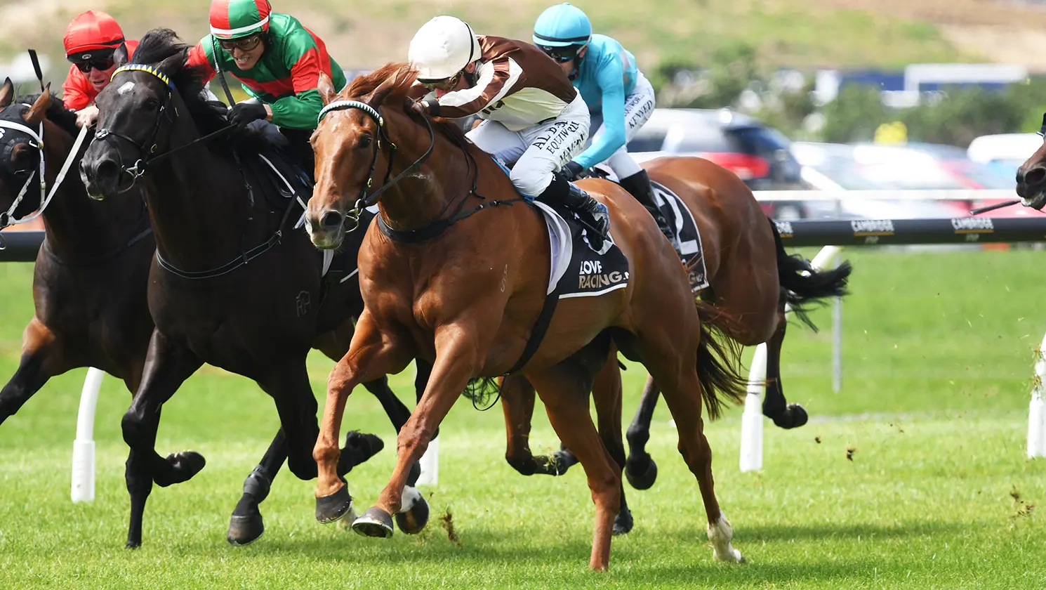 Adam I Am Lives Up To Odds-On Quote To Salute At Ellerslie