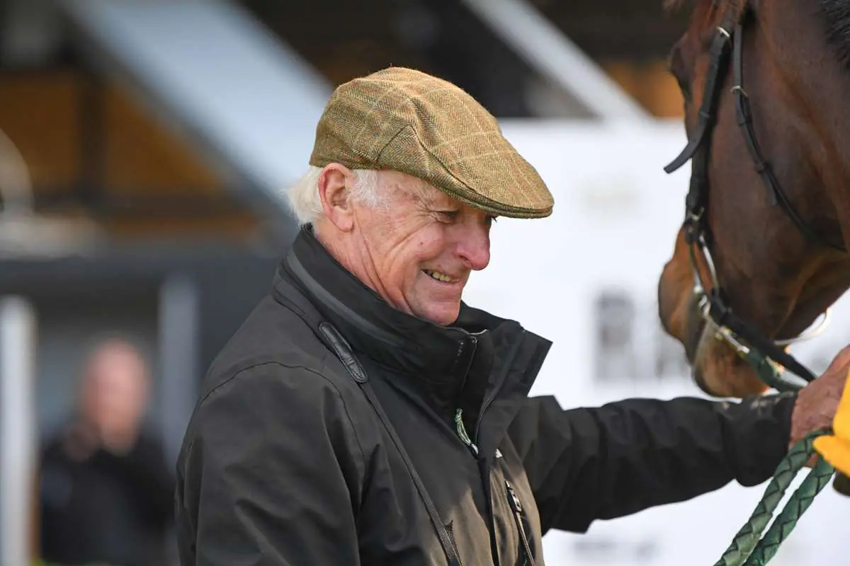 Andersons Bay Looking To Hand Stallion New Zealand Success