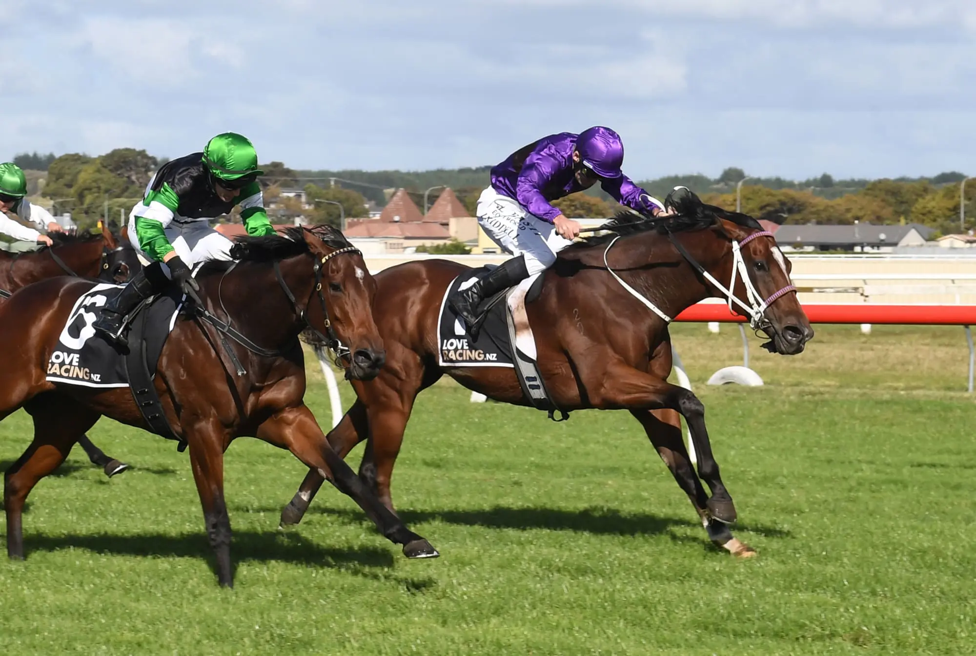Lantern Way Bounces Back With Impressive Wanganui Triumph