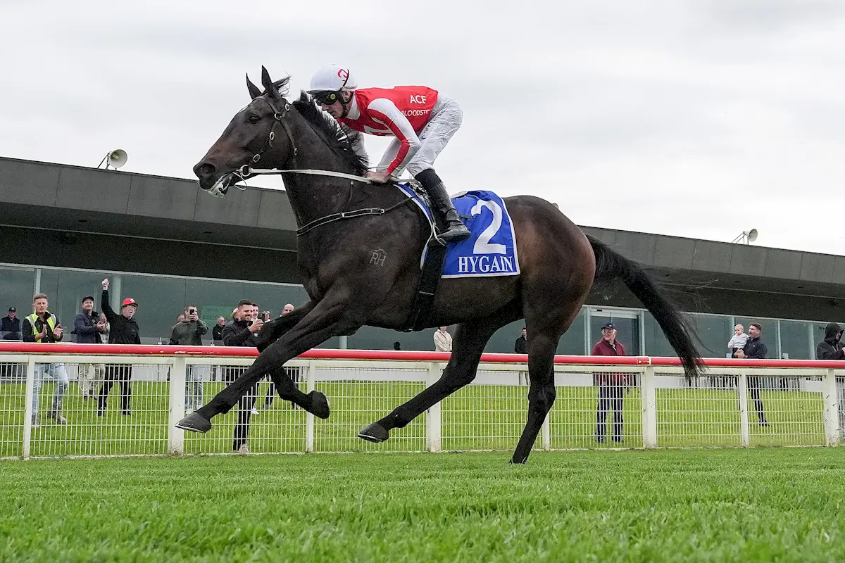 Undefeated Angland Set For Toughest Test At Caulfield