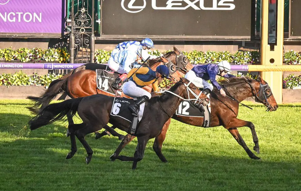 Andrew Ramsden Stakes Guide | Field | History & Odds
