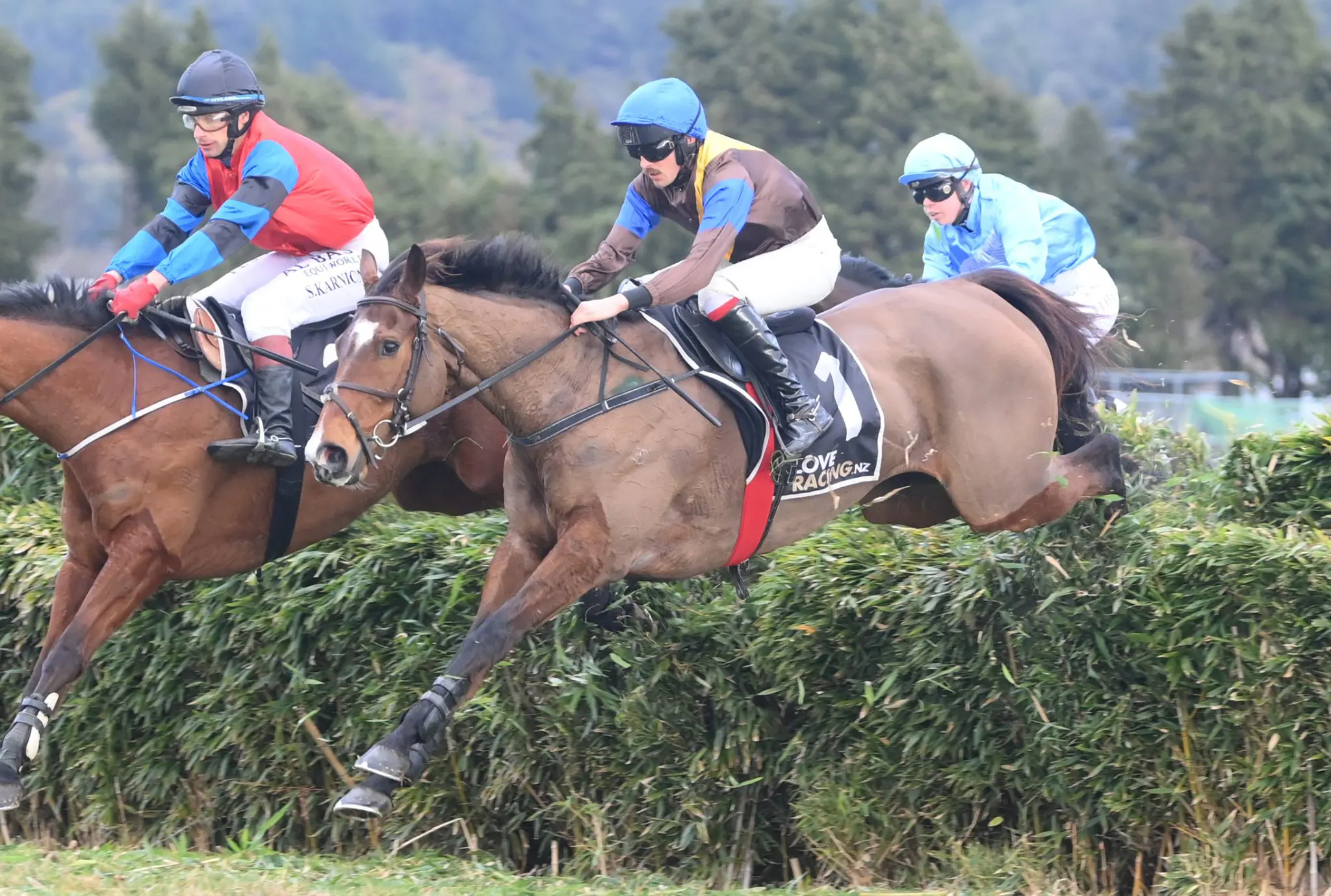 The Cossack Digs Deep To Claim Wellington Steeplechase Success