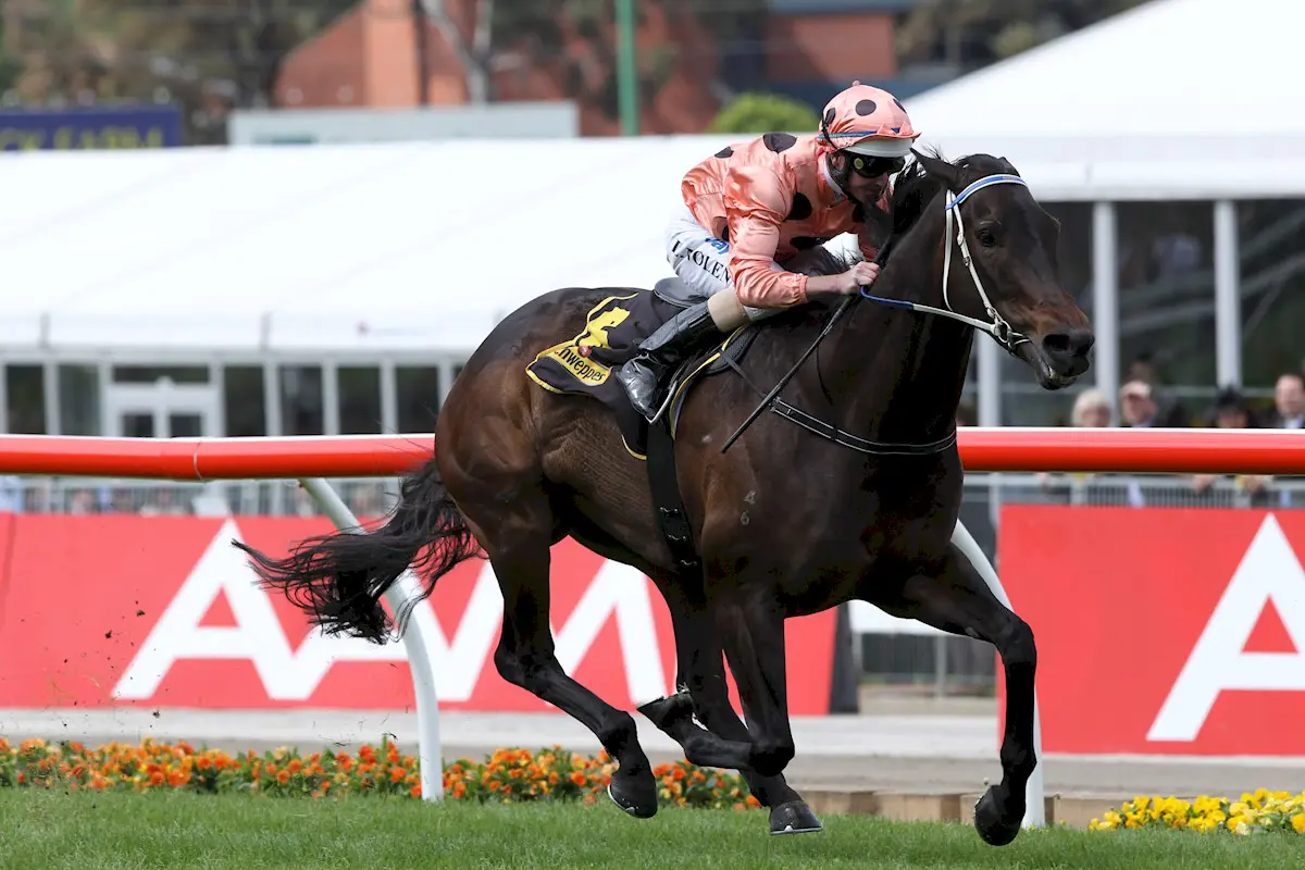 Black Caviar Passes Away After Short Battle With Laminitis