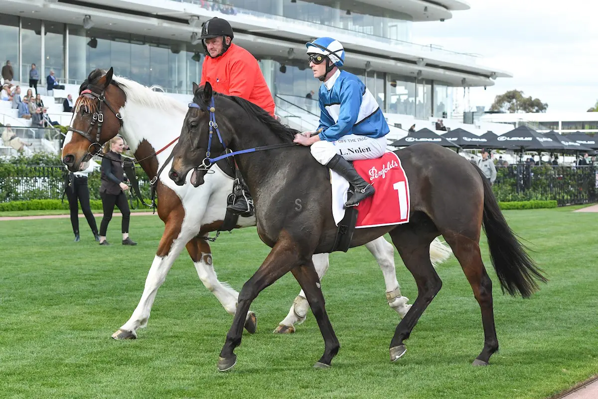 Stylish Secret Wins VRC Derby Preview, Nolan Remains Cautious