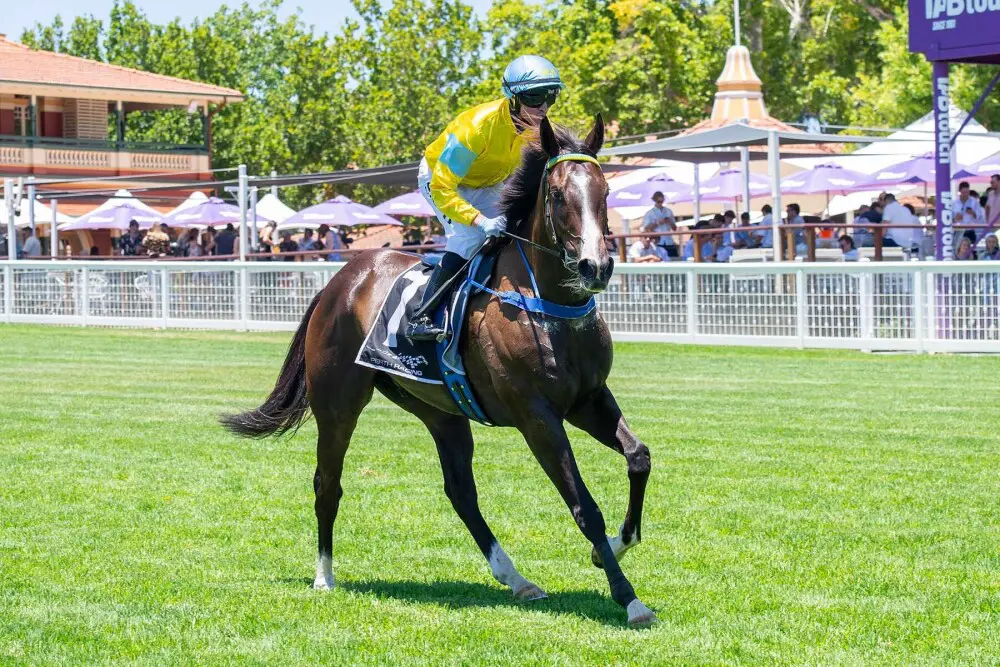 In Good Order Eyes Perth Cup After Ted Van Heemst Stakes Win