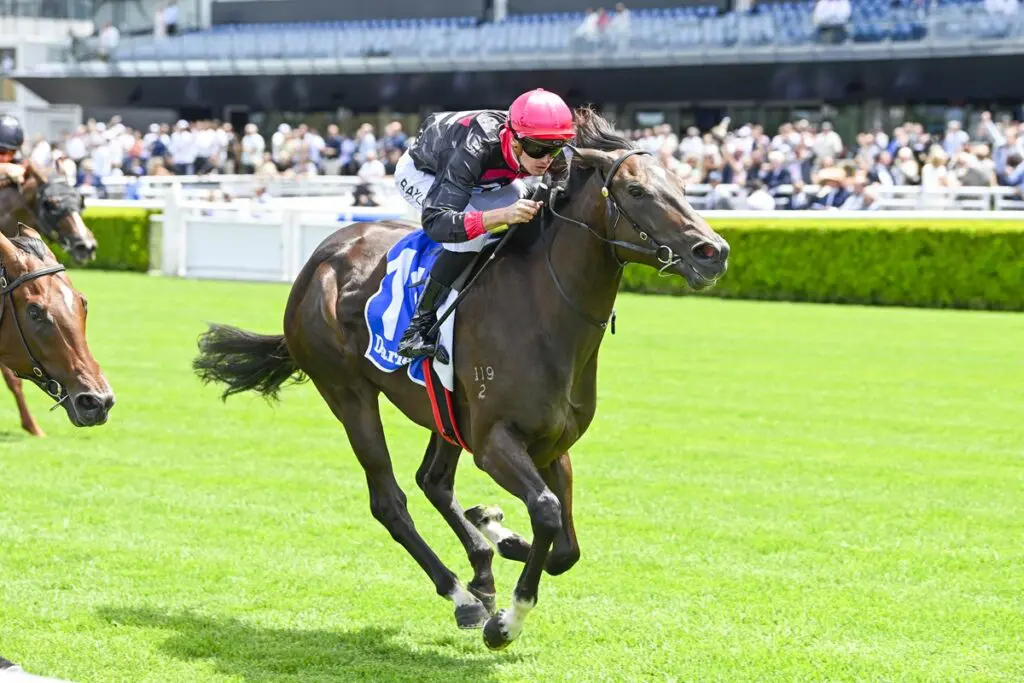 Bellazaine Lifts Late To Claim Listed Lonhro Plate At Randwick